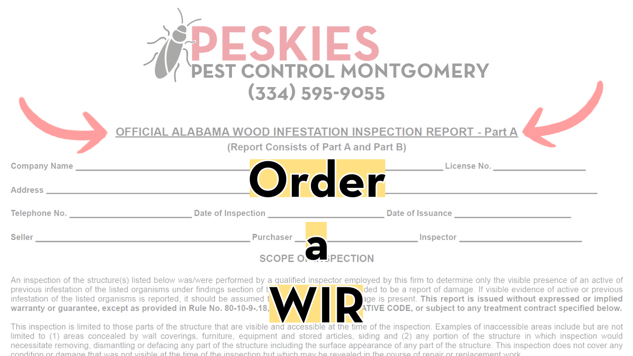 Wood Infestation Report Request - Peskies Pest Control Montgomery